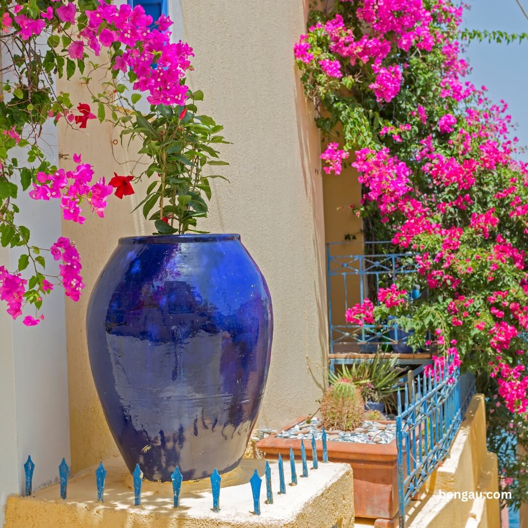 Vanjske Vaze Za Cvijeće – Vodič Za Odabir, Stilove I Najbolje Modele ...